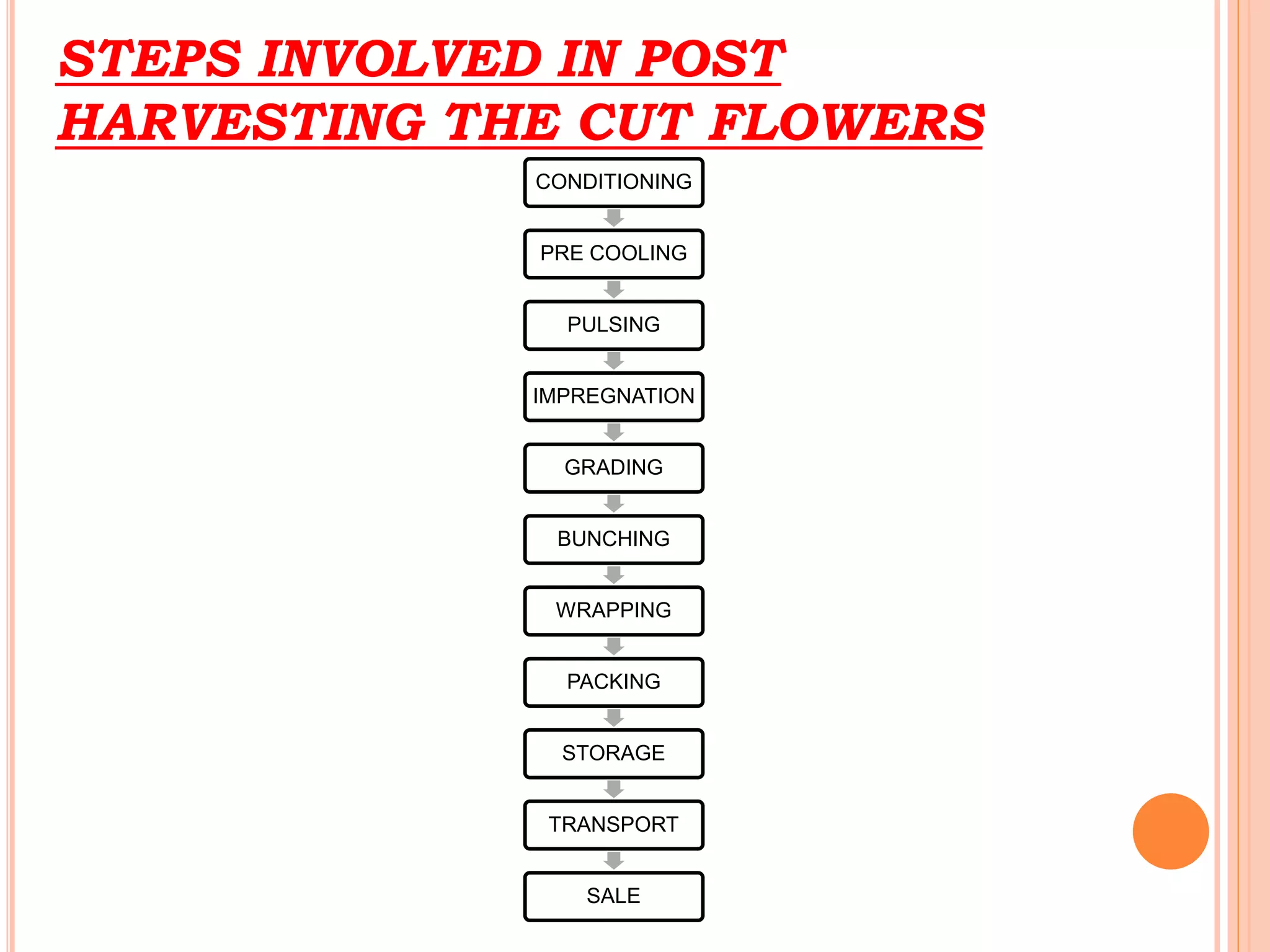 CULTIVATION OF IMPORTANT CUT FLOWERS.pptx