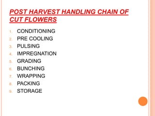 CULTIVATION OF IMPORTANT CUT FLOWERS.pptx