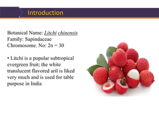 Cultivation of Litchi | PPTX