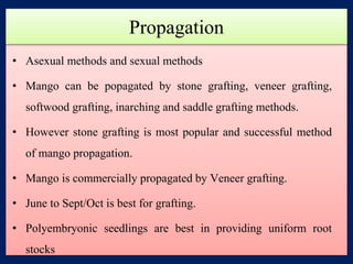 Cultivation of mango | PPTX