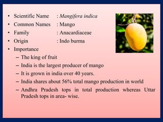 Cultivation of mango | PPTX