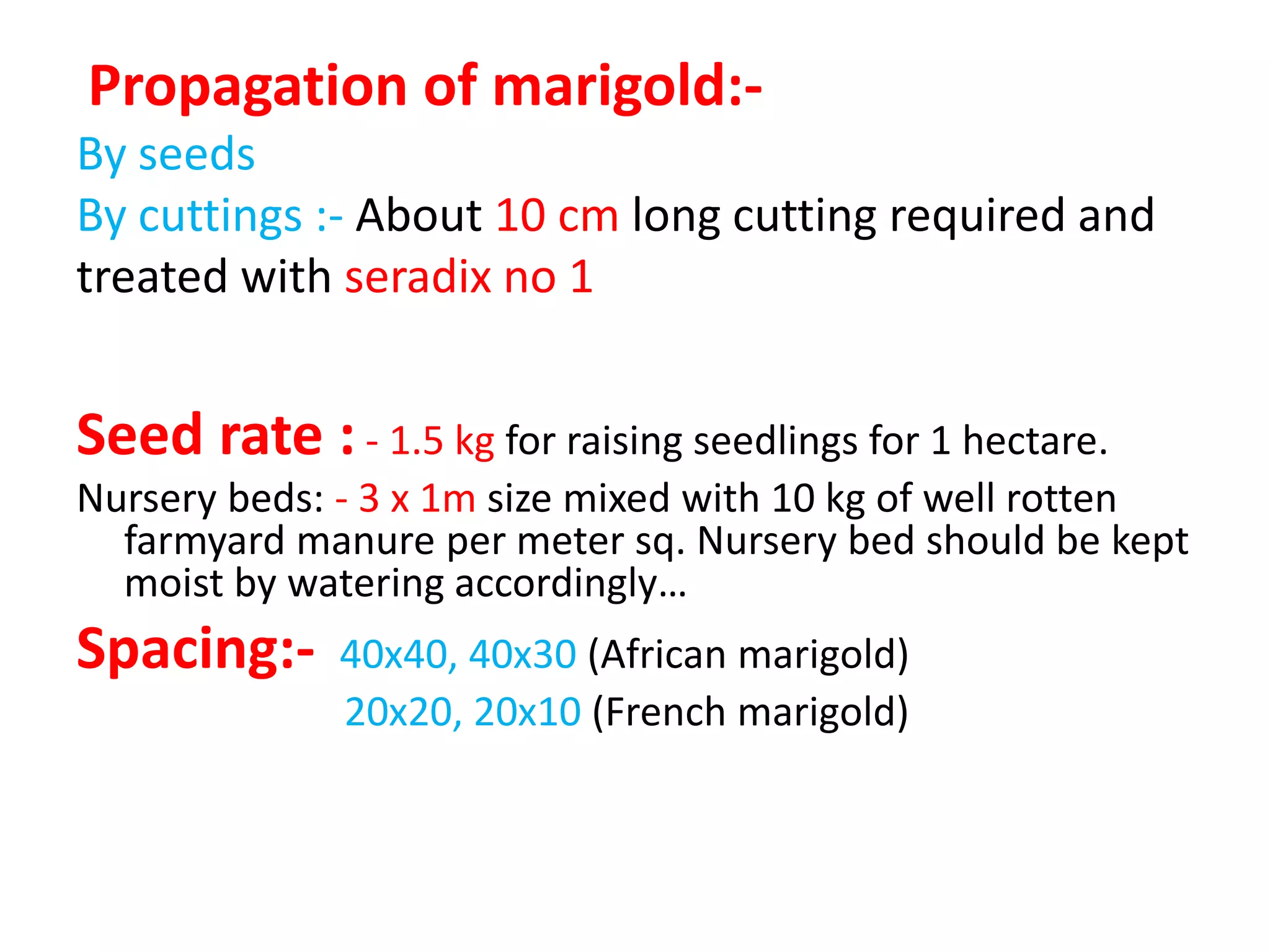 Cultivation of marigold. production technology of marigold . | PPTX