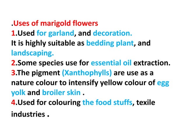 Cultivation of marigold. production technology of marigold . | PPTX