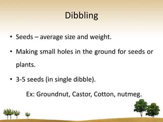 Cultivation of medicinal plants by Seed / Sexual Propagation | PPTX