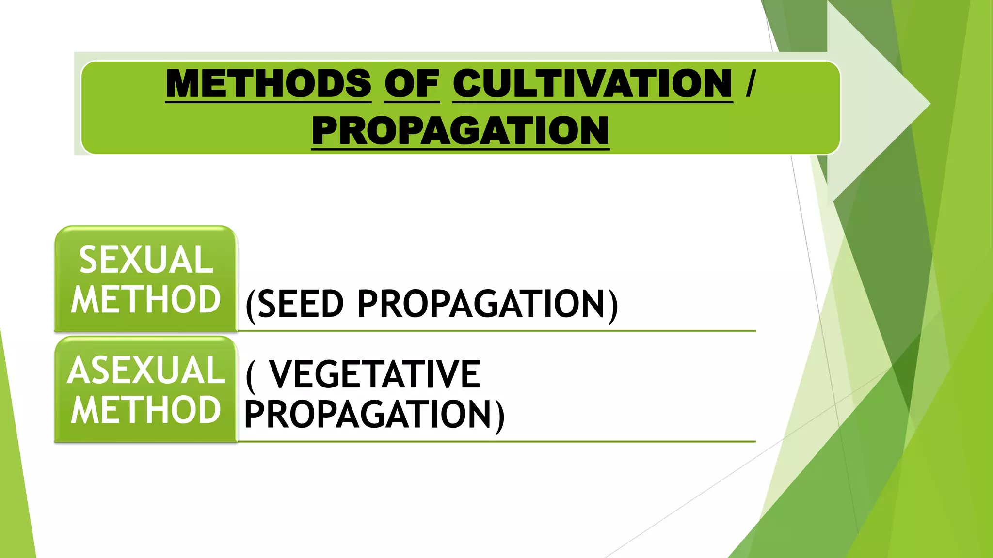 CULTIVATION OF MEDICINAL PLANTS.pdf