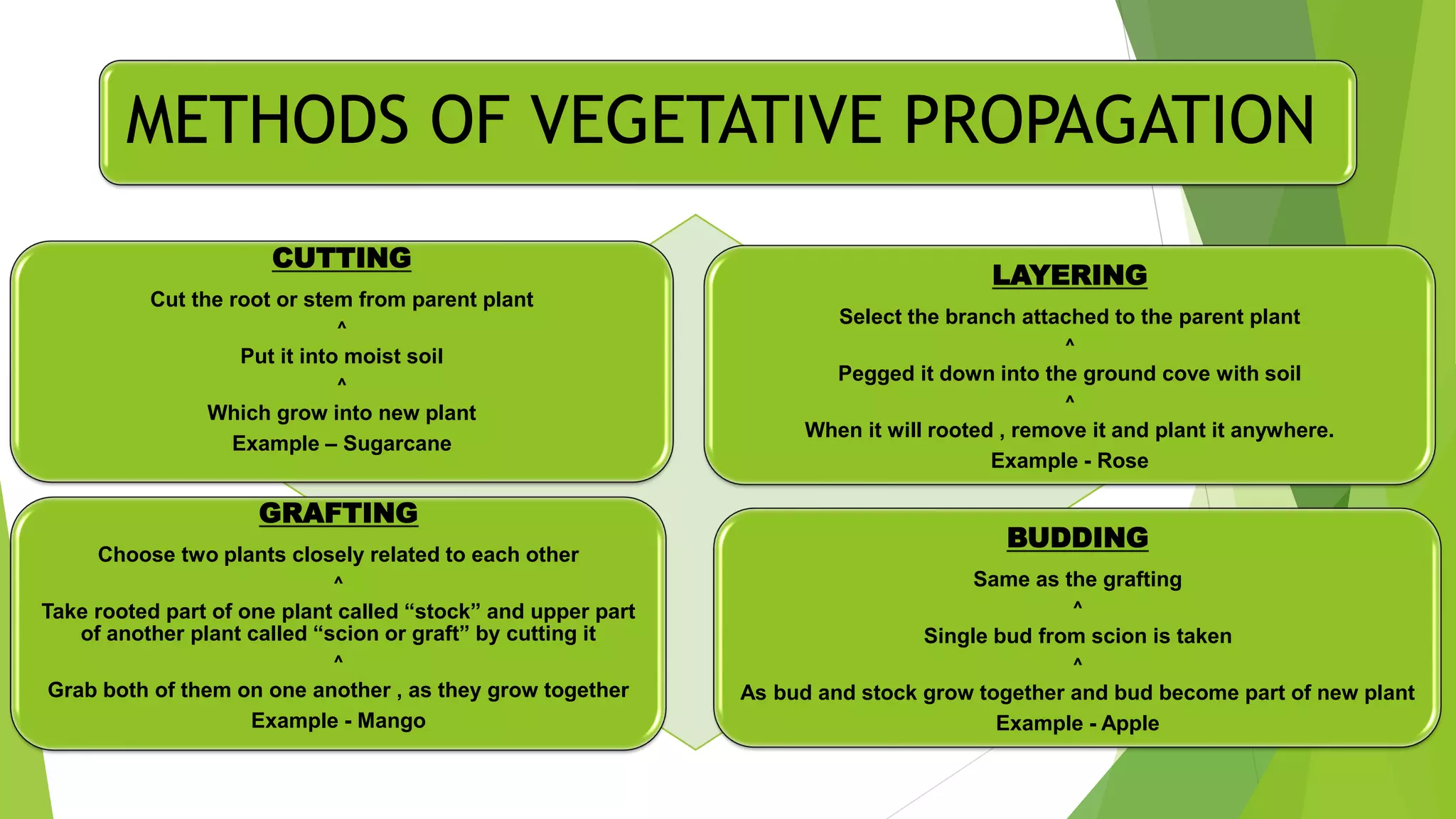 CULTIVATION OF MEDICINAL PLANTS.pdf