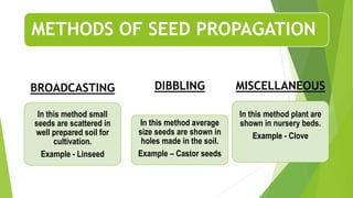 CULTIVATION OF MEDICINAL PLANTS.pdf