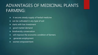 Cultivation of medicinal plants | PPTX