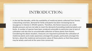 Cultivation of medicinal plants | PPTX