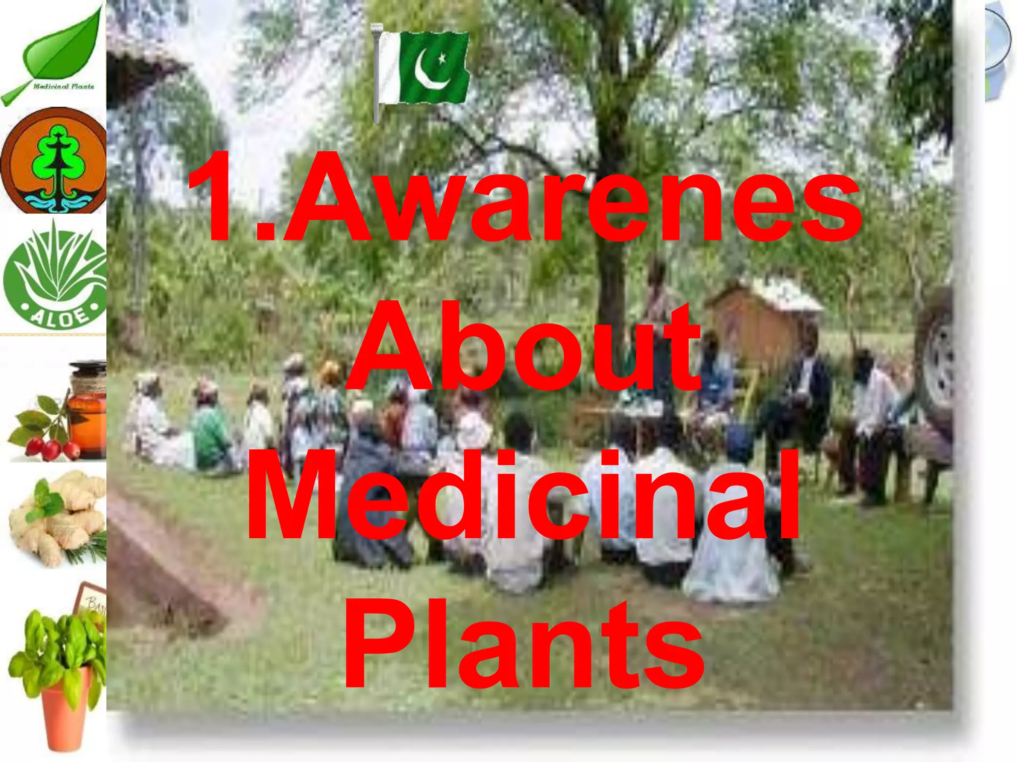 Cultivation of medicinal plants in pakistan In Pakistan By Mr Allah Dad ...