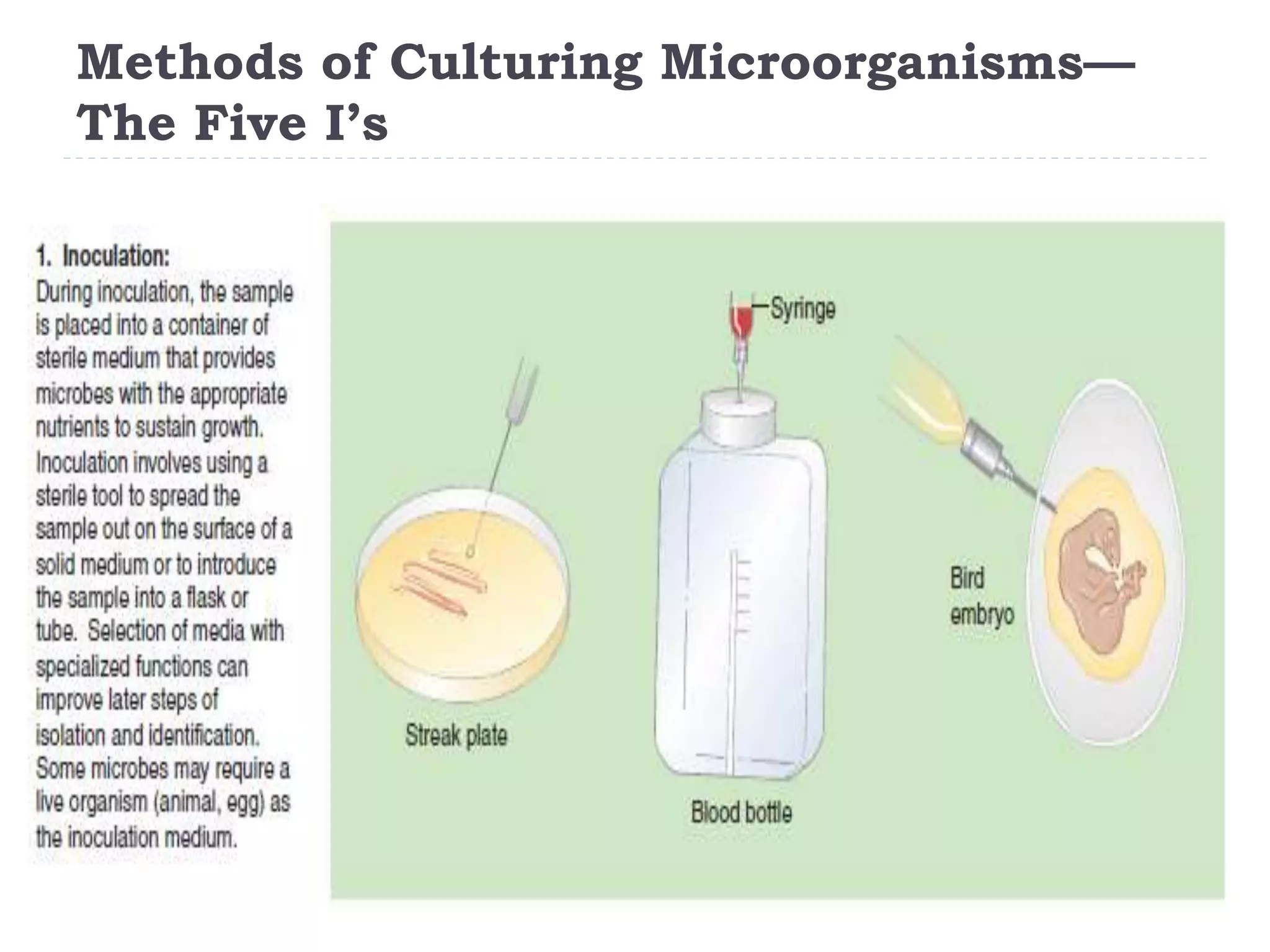 Cultivation of microorganism | PPTX