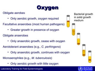 Cultivation of microorganisms - Bacteria.ppt | Gardening | Home & Garden