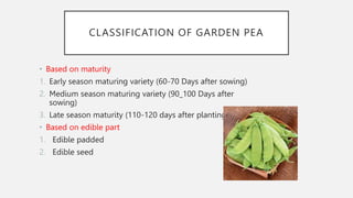 cultivation of Garden pea | PPTX