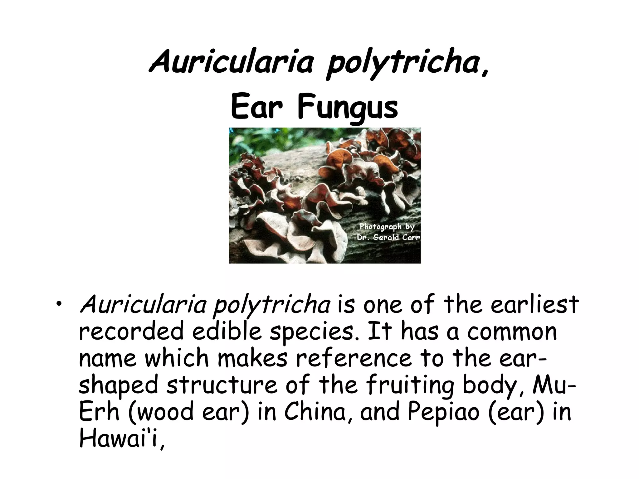 Cultivation of pleurotus spp. | PPT