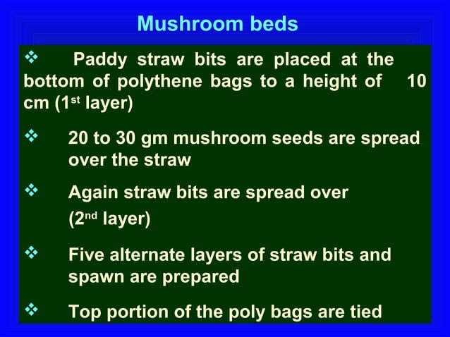 Cultivation of pleurotus spp. | PPT