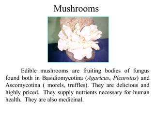 Cultivation of pleurotus spp. | PPT