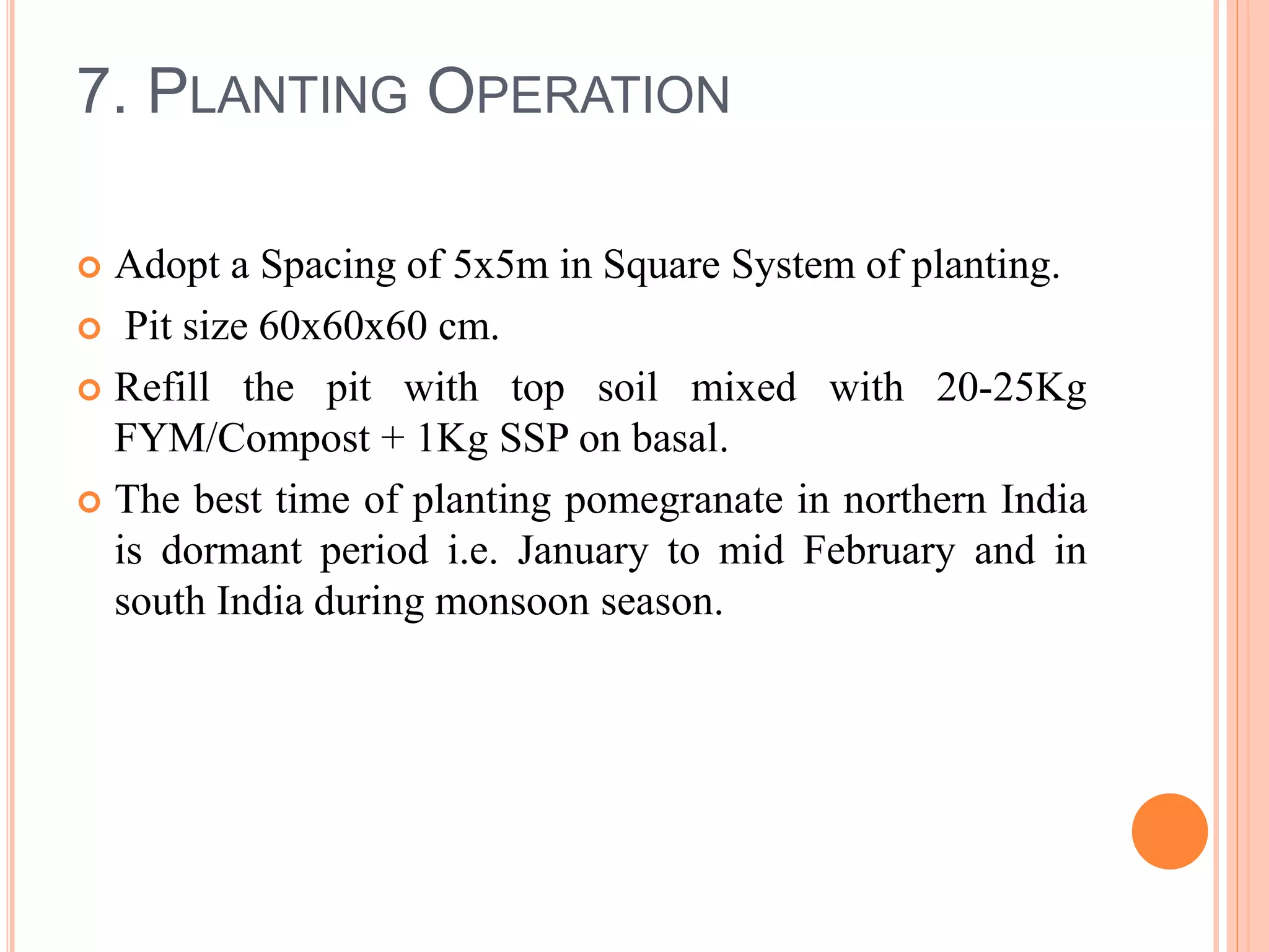 Cultivation of pomegranate | PPTX