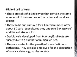CULTIVATION OF VIRUSES | PPT