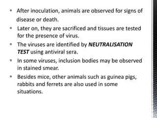 CULTIVATION OF VIRUSES | PPT