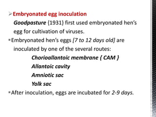 CULTIVATION OF VIRUSES | PPT