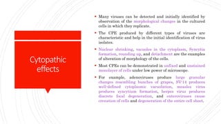 Cultivation of virus | PPTX