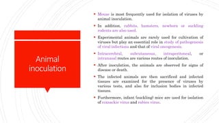 Cultivation of virus | PPTX