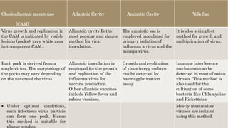 CULTIVATION OF VIRUS.pptx
