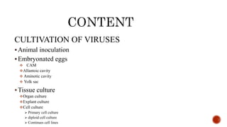 CULTIVATION OF VIRUS.pptx
