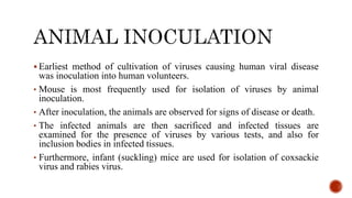 CULTIVATION OF VIRUS.pptx