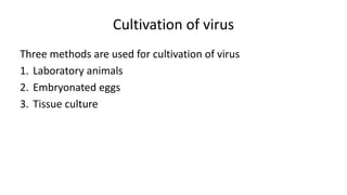 Cultivation of virus | PPTX
