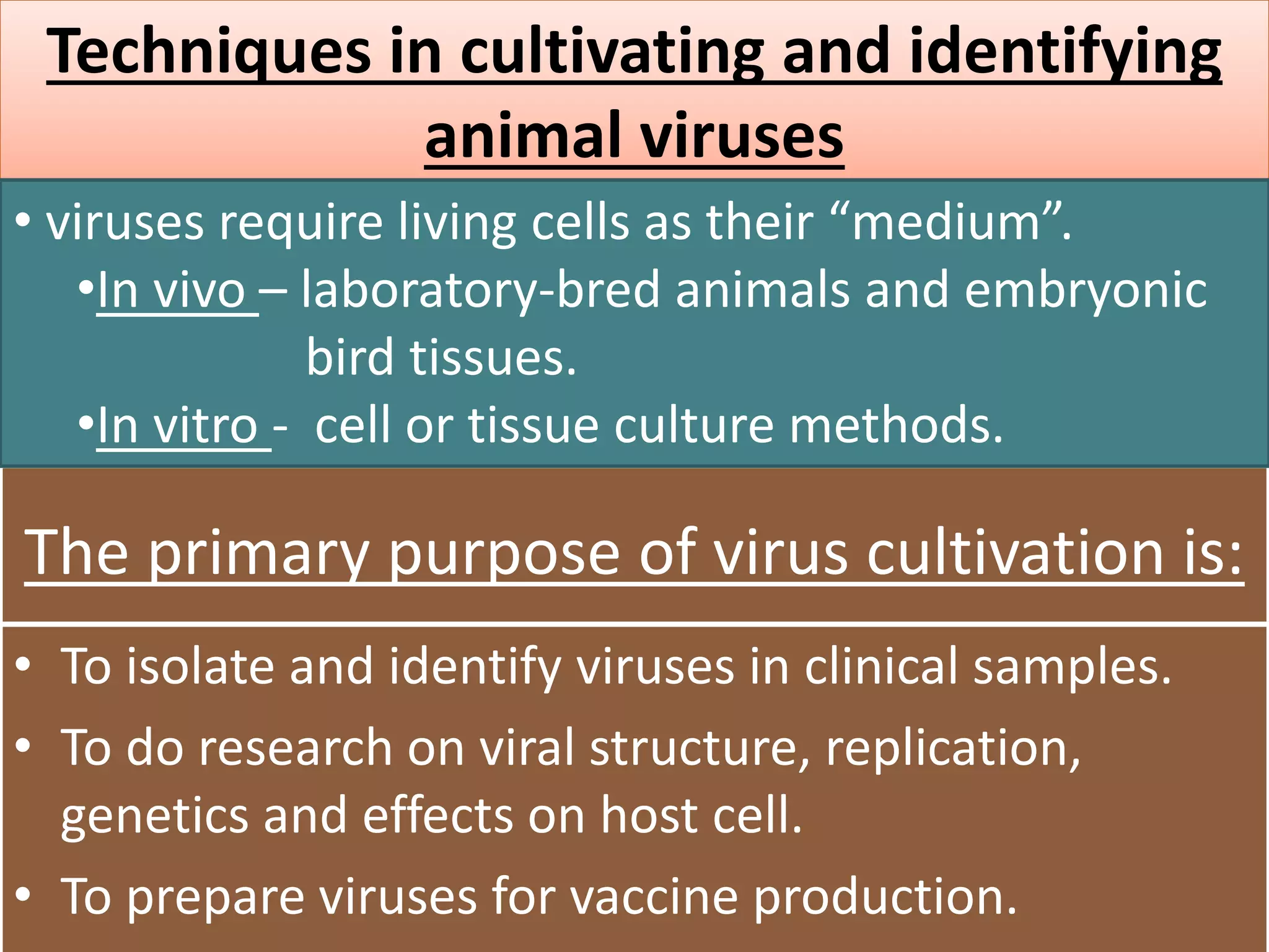 Cultivation of virus | PPTX