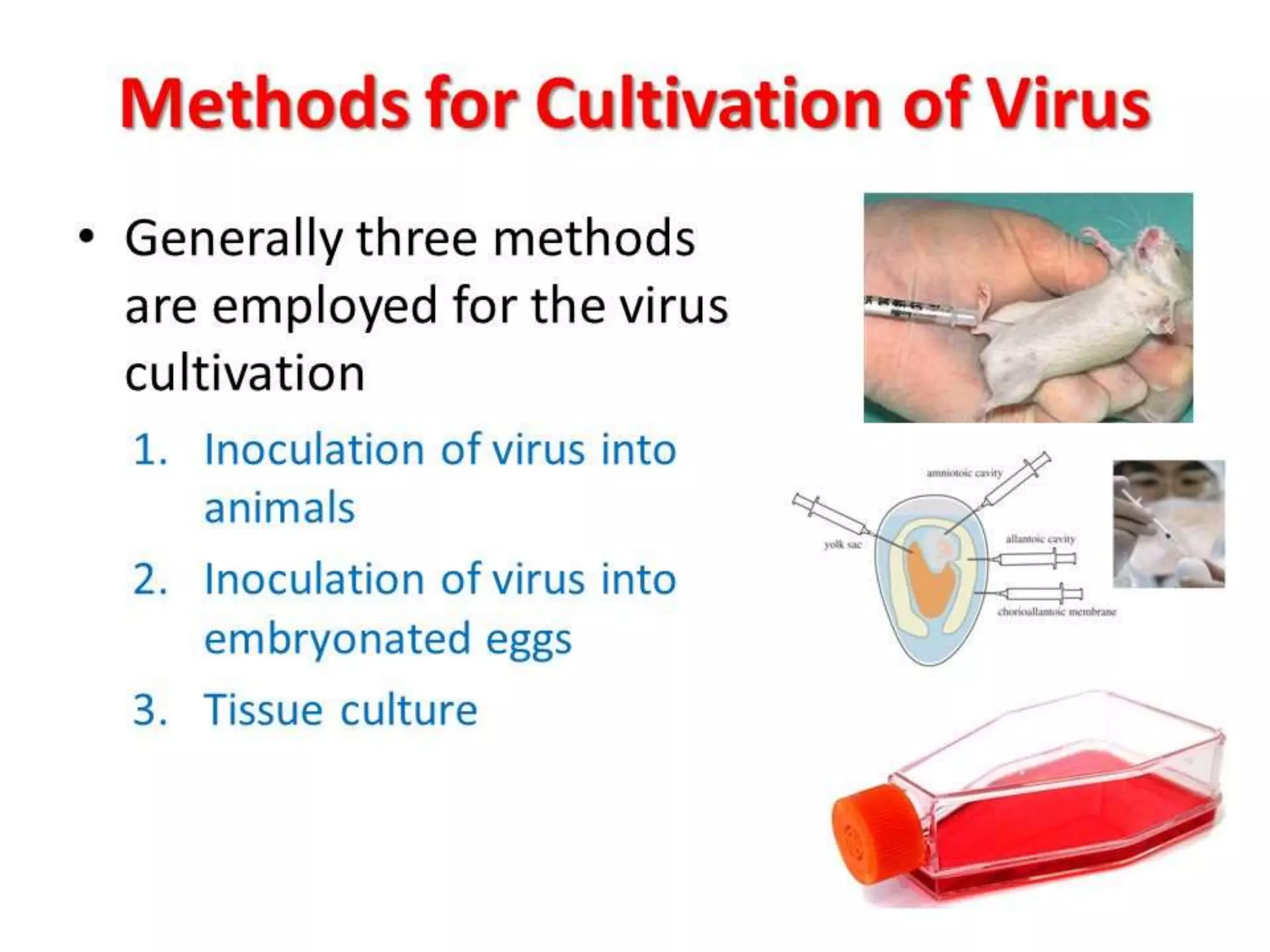 Cultivation of virus | PPTX