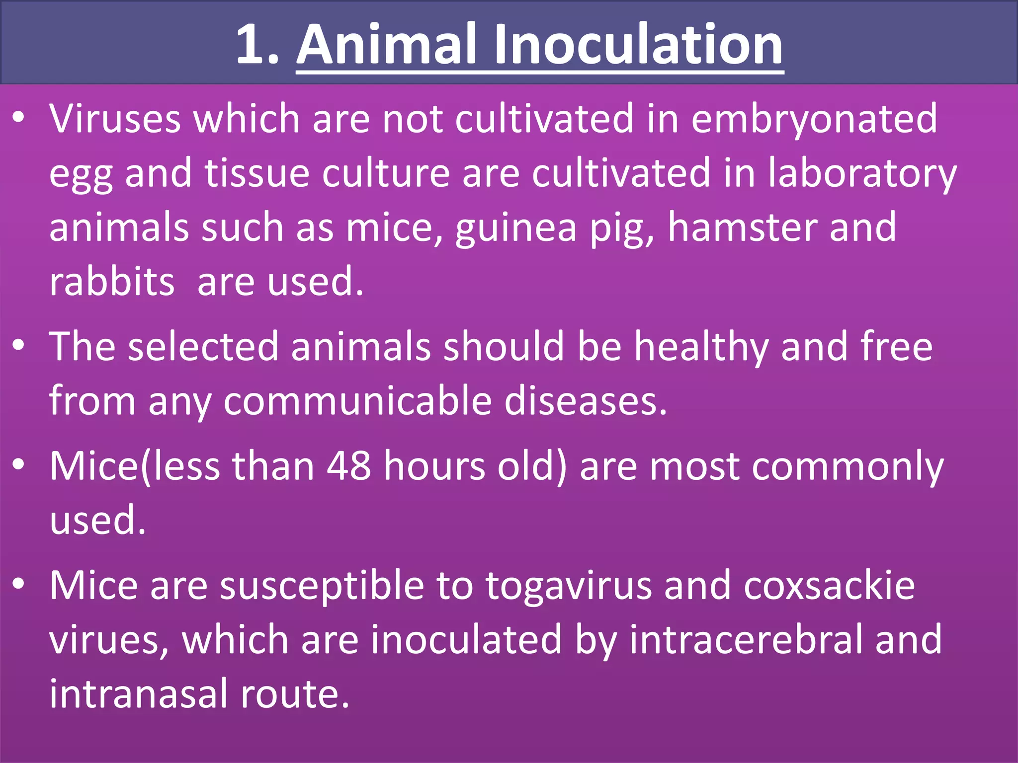 Cultivation of virus | PPTX