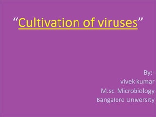 Cultivation of virus | PPTX