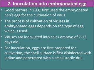 Cultivation of virus | PPTX