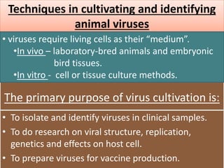 Cultivation of virus | PPTX