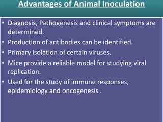 Cultivation of virus | PPTX