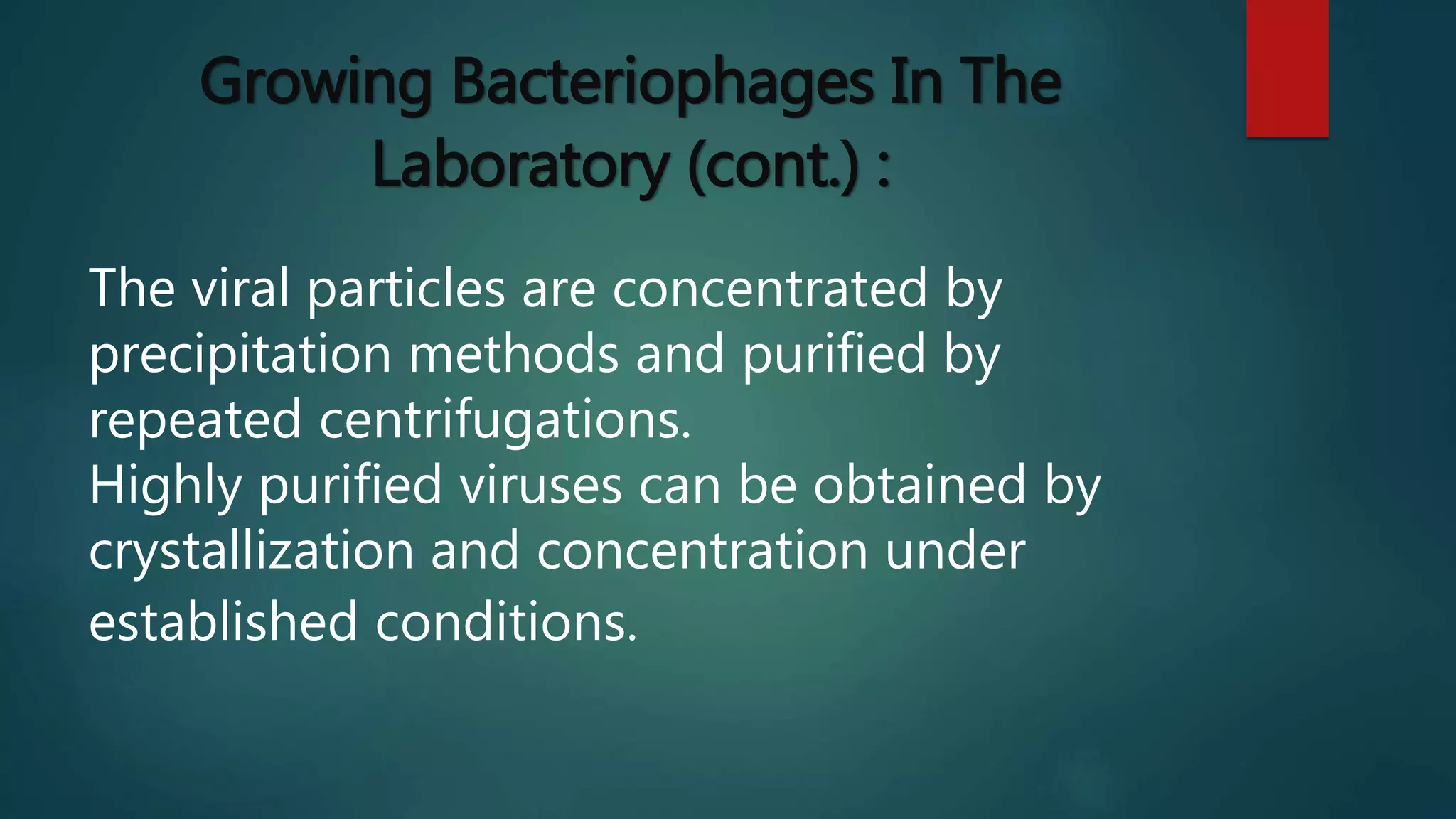 Cultivation of Viruses | PPTX