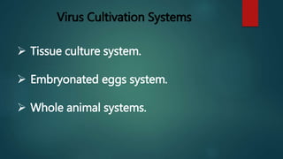 Cultivation of Viruses | PPTX