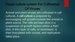 Cultivation of Viruses | PPTX