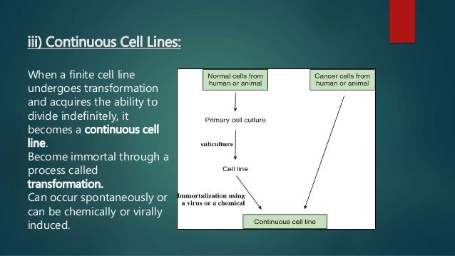 Cultivation of Viruses