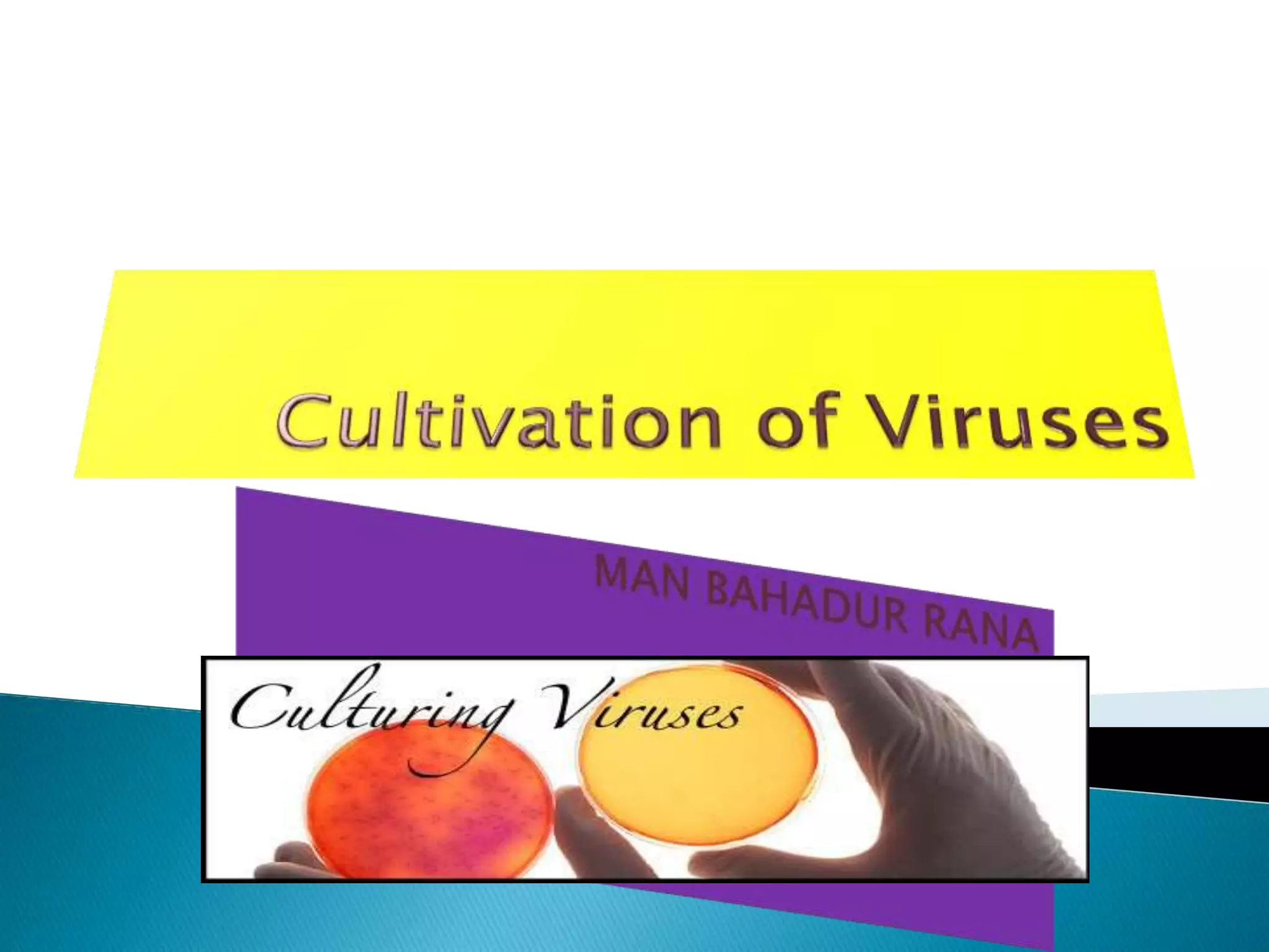 Cultivation of viruses | PPTX