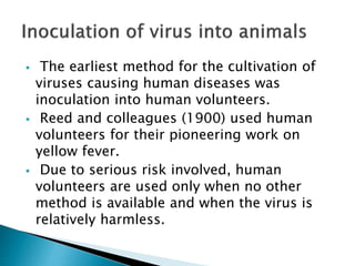 Cultivation of viruses | PPTX