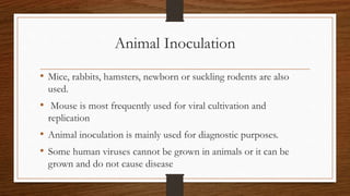 Cultivation of viruses | PPTX