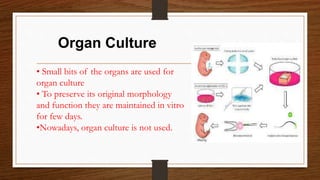 Cultivation of viruses | PPTX