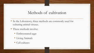 Cultivation of viruses | PPTX