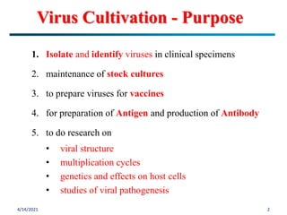 Cultivation of viruses | PPTX