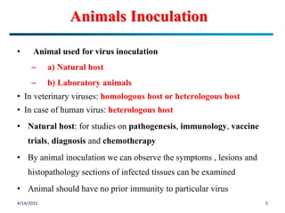 Cultivation of viruses | PPTX