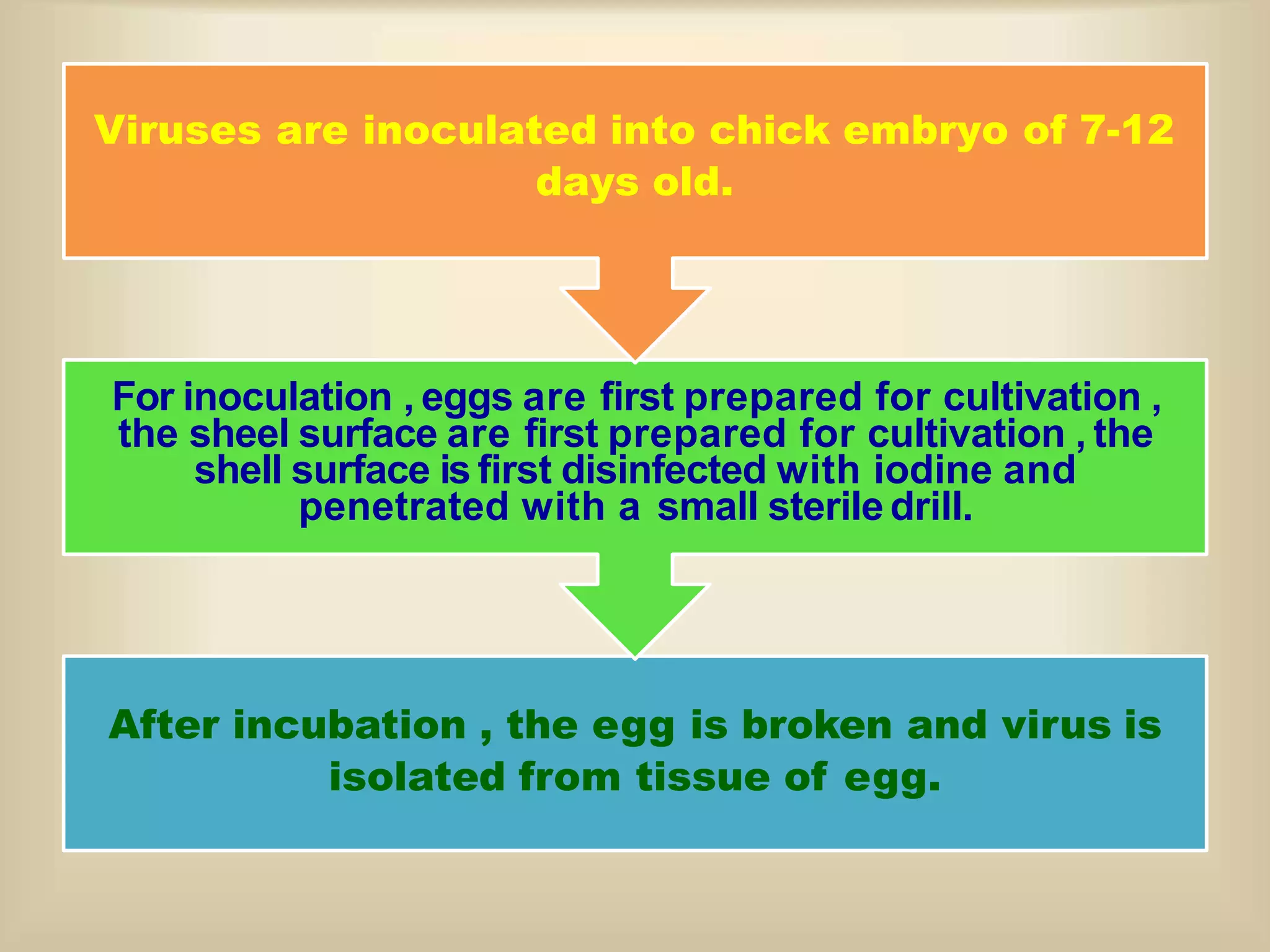 cultivation of viruses | PDF