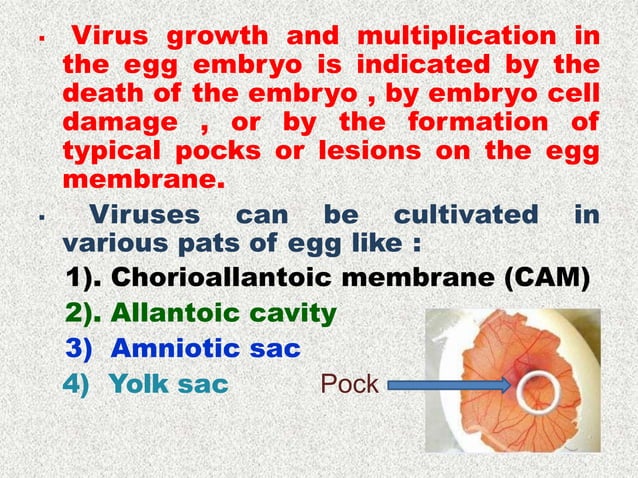 cultivation of viruses | PPT